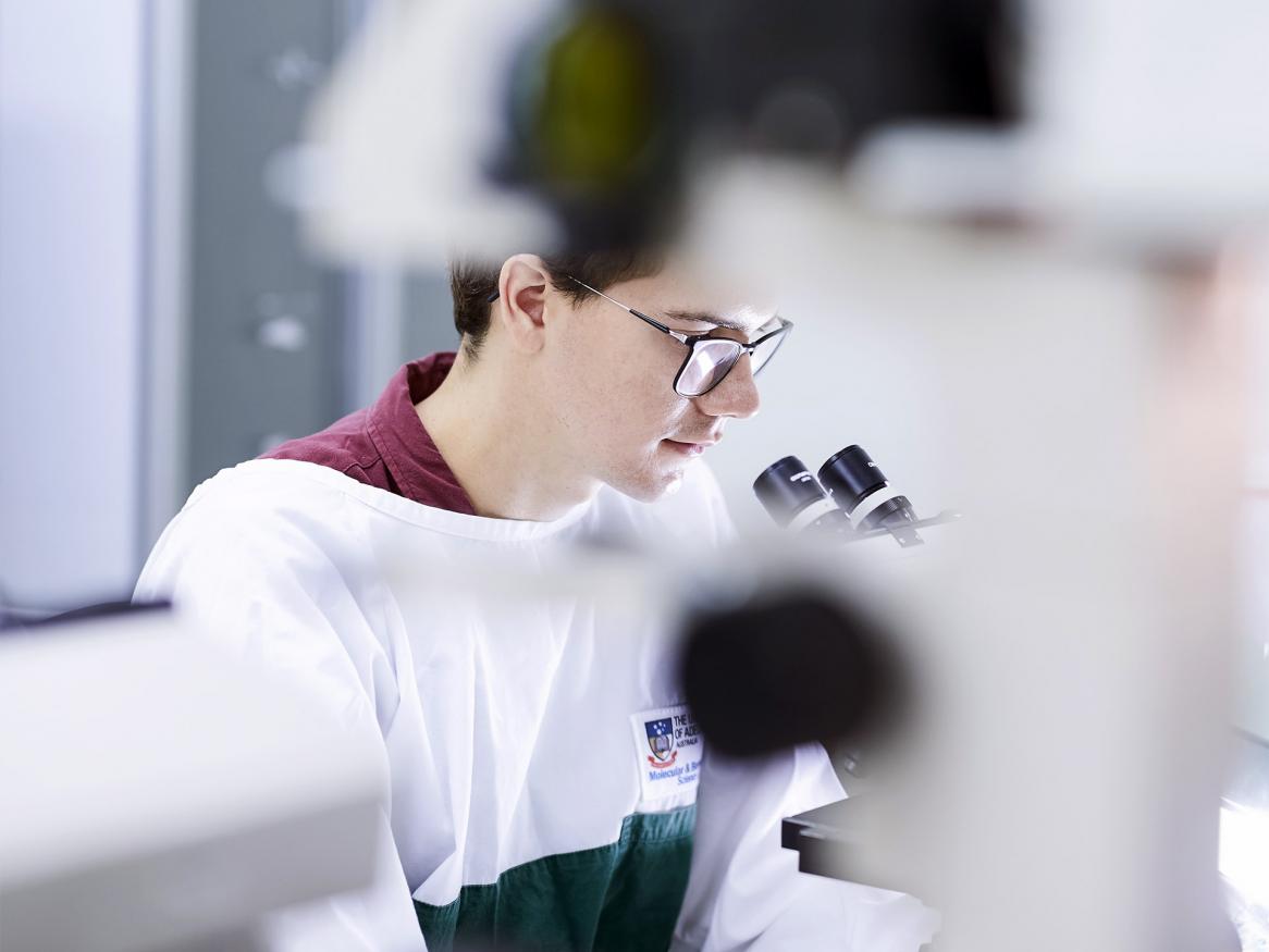 Research Strengths | Australian Centre for Antimicrobial Resistance ...