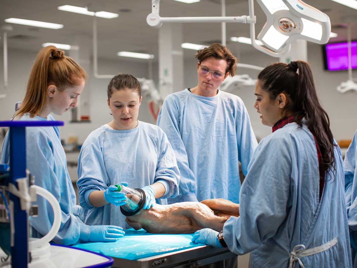 Veterinary Science | School of Animal and Veterinary Sciences ...
