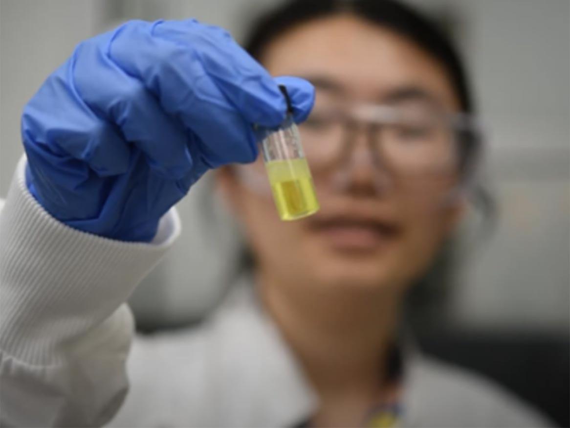 Bioinspired Materials and Devices Group | University of Adelaide Bioinspired Materials and Devices Group | University of Adelaide