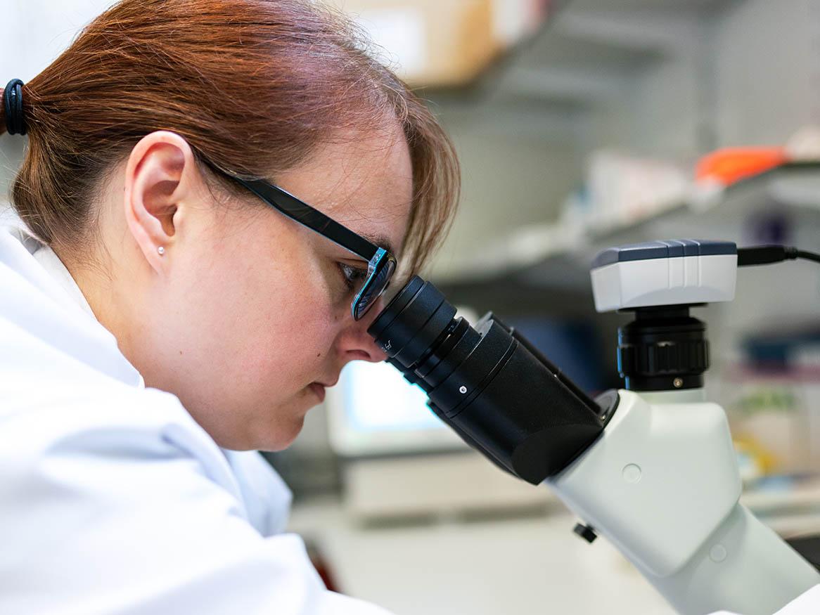 Centre for Biomedical Engineering | University of Adelaide Centre for Biomedical Engineering | University of Adelaide
