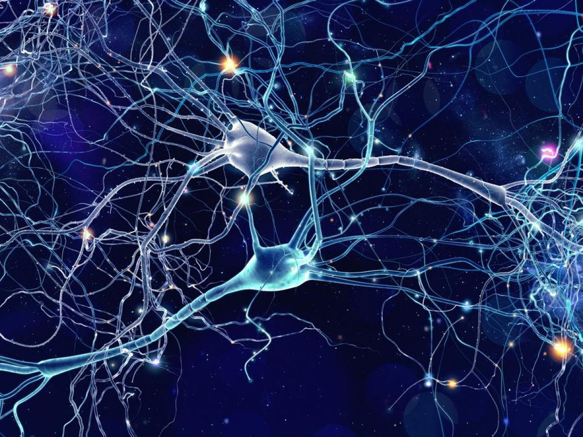 Machine Learning and Artificial Intelligence | School of Computer and Mathematical Sciences ...