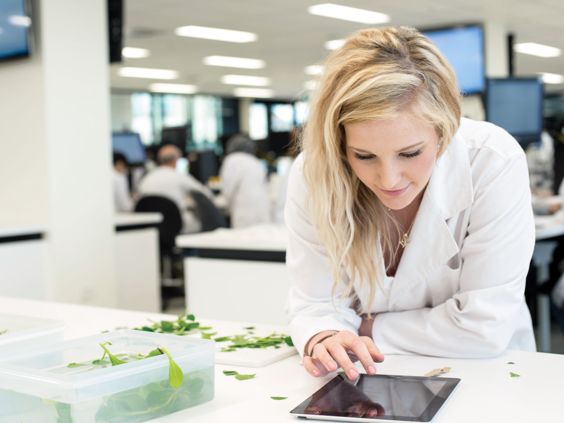 Genomic analysis of fungal cell wall synthesis | Faculty of Sciences ...