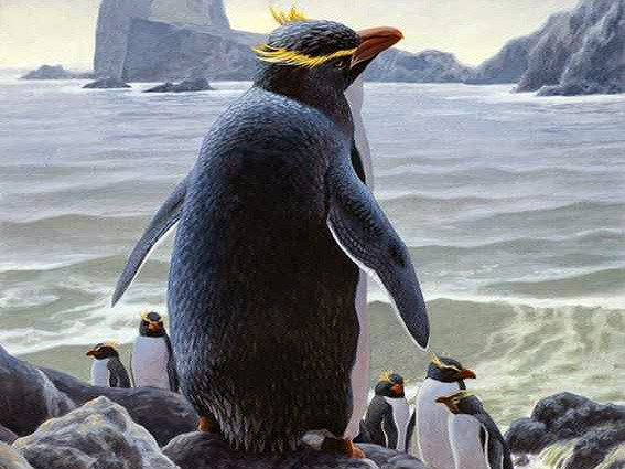 Researchers link penguin evolution to island formation | Faculty of ...