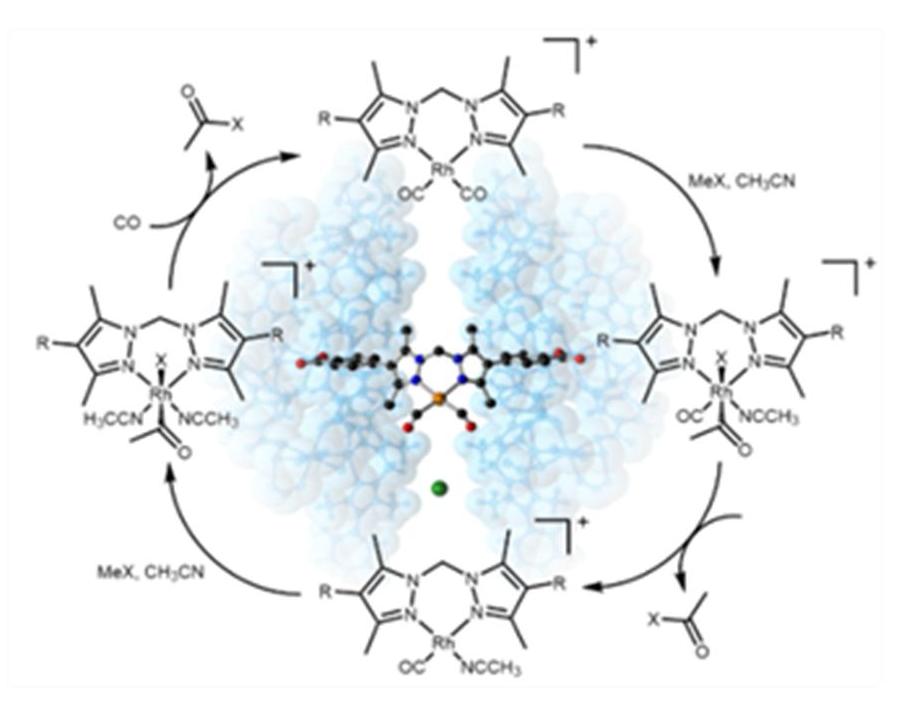 Using metal-organic frameworks to understand catalysis | Faculty of ...
