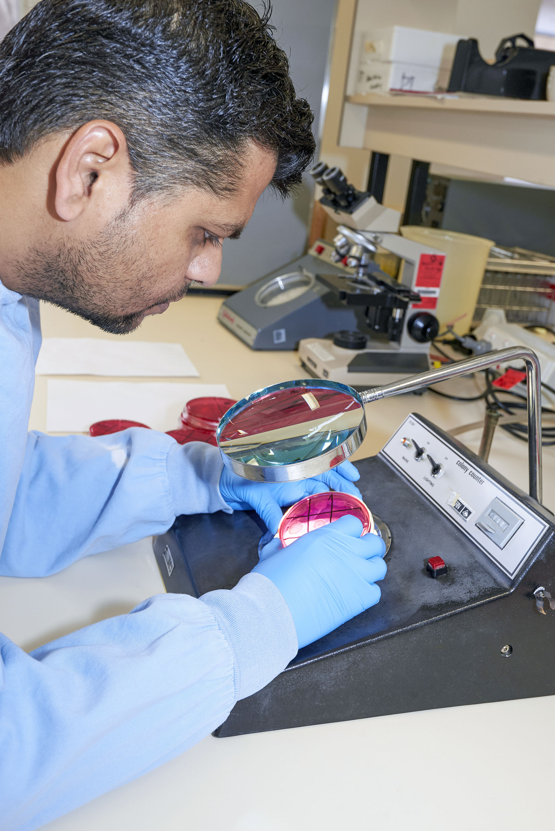 Assessing cellular response to bioactive compounds as a prelude to ...