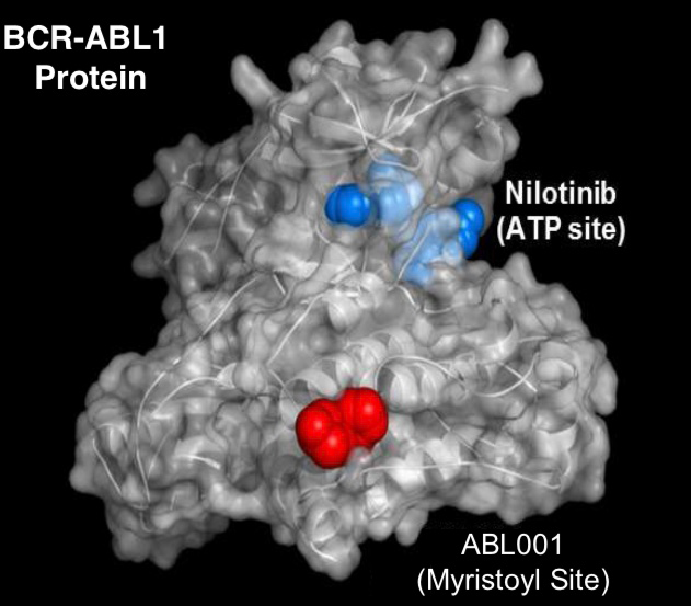 Efficacy of a combination of TKI and a novel allosteric inhibitor ...